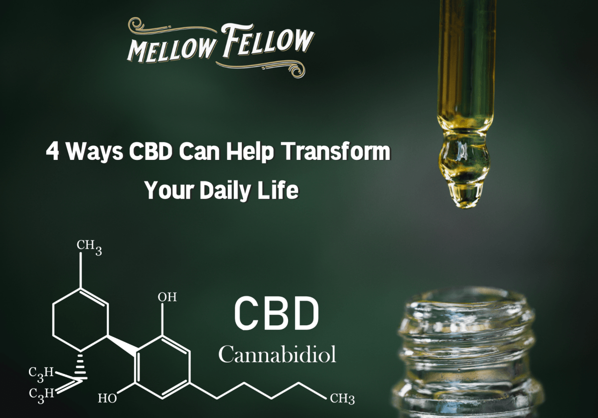 4 Ways CBD Can Help Transform Your Daily Life – Mellow Fellow