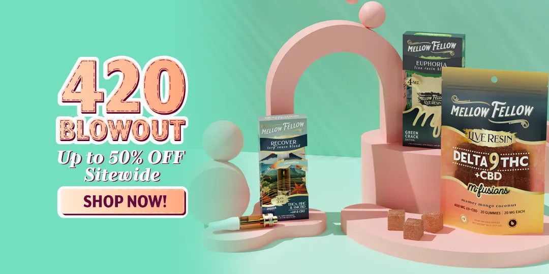 All Live Resin Disposable Vapes - Mellow Fellow