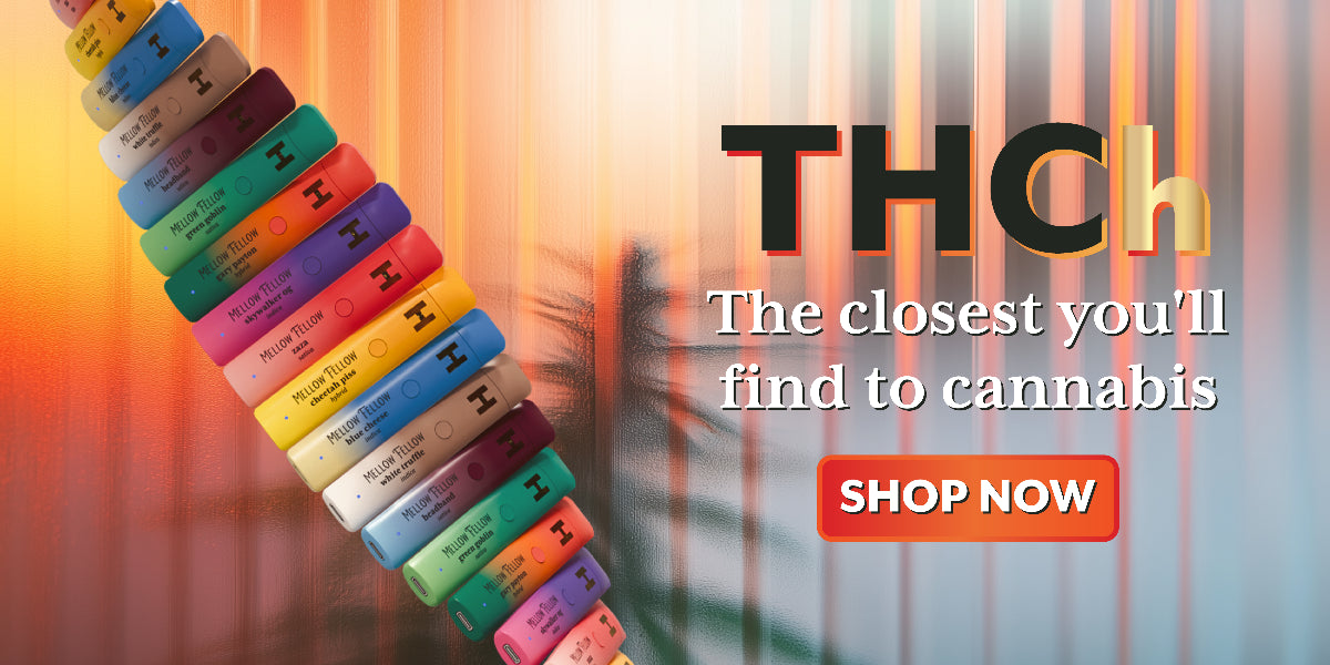 About Us - Mellow Fellow